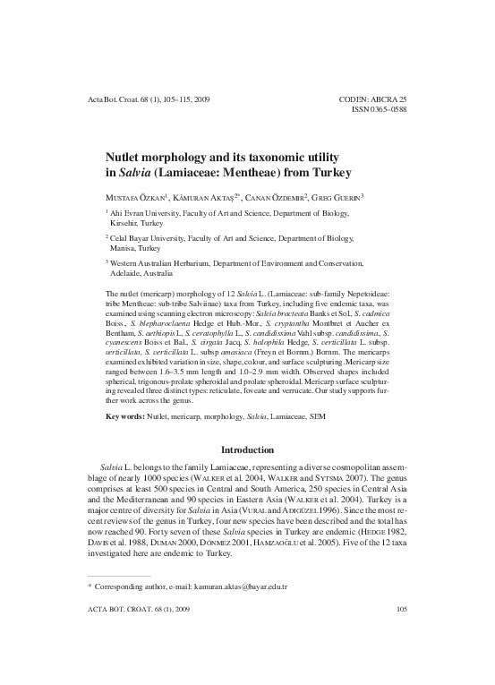 (PDF) Mericarp morphology and its taxonomic utility in Salvia ...