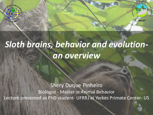 (PDF) Sloth brains, behavior and evolution- an overview