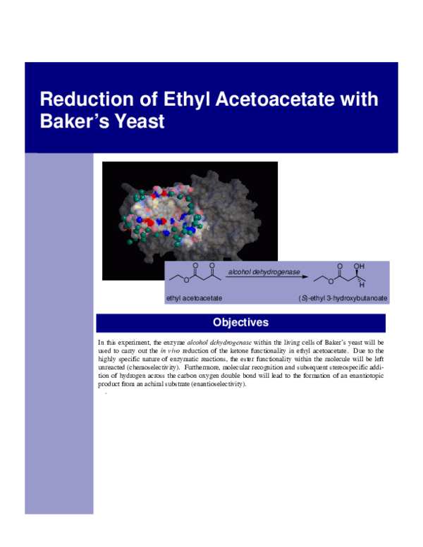 (PDF) Reduction of Ethyl Acetoacetate with Baker's Yeast