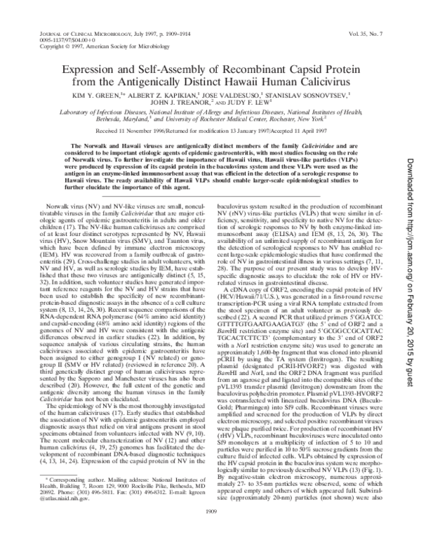 (PDF) Expression and Self-Assembly of Recombinant Capsid Protein from ...