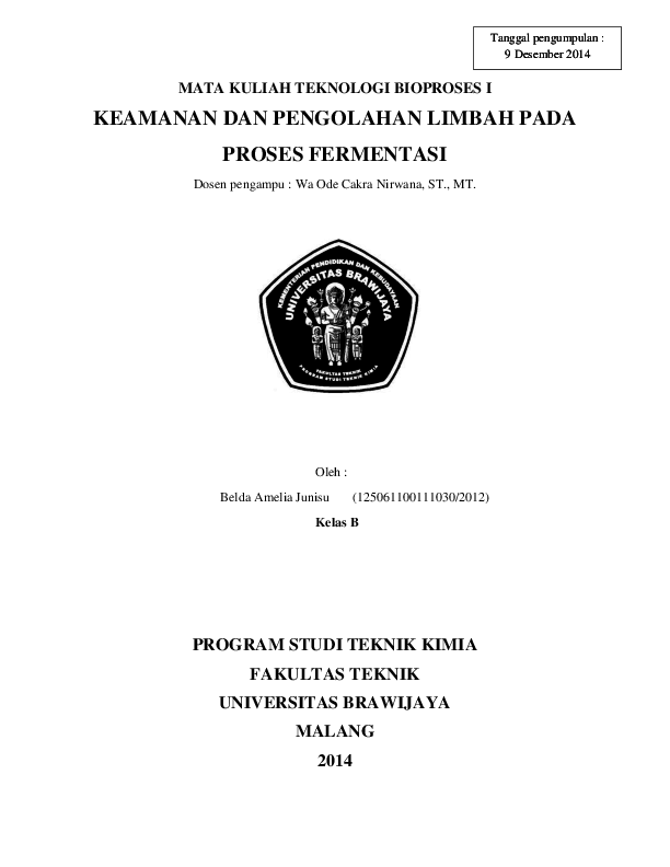 (PDF) Safety and Waste Treatment