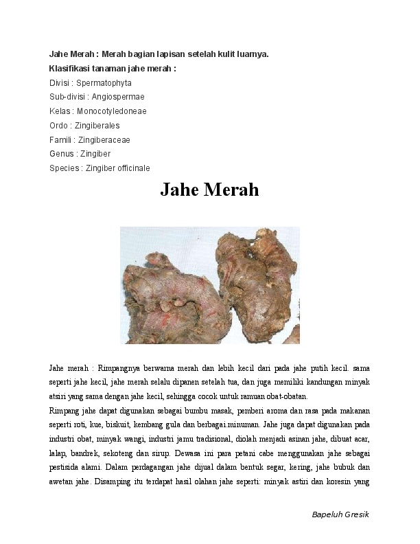 (DOC) Jahe-merah