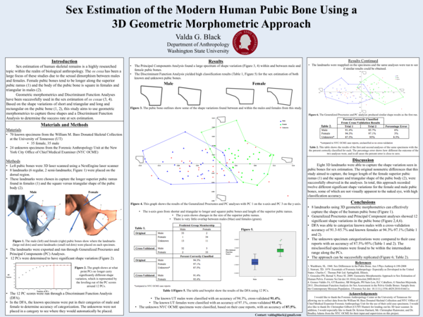 Pdf Aafs Poster Sex Estimation Of The Modern Human Pubic Bone Using A 3d Geometric