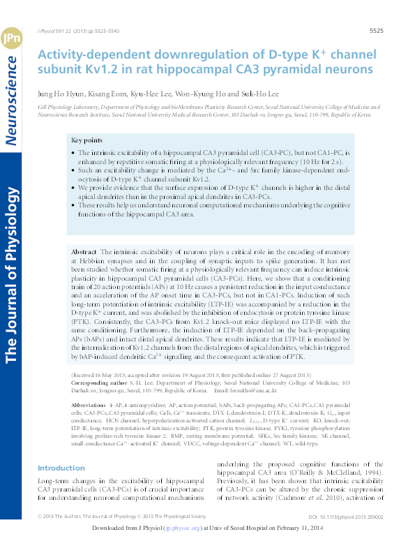 (PDF) Activity-dependent downregulation of D-type K+ channel subunit ...