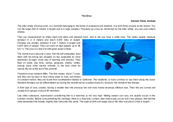 (DOC) The Orca