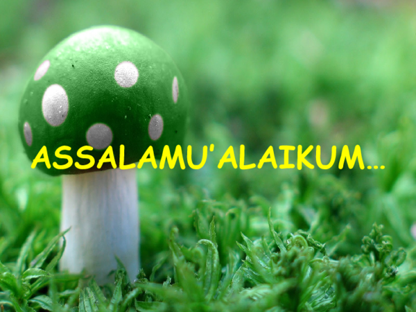 (PPT) jamur power point