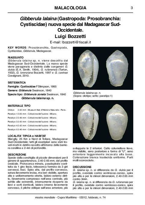 (PDF) Gibberula lalaina (Gastropoda: Prosobranchia: Cystiscidae) nuova ...