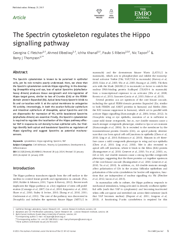 The Spectrin cytoskeleton regulates the Hippo signalling pathway