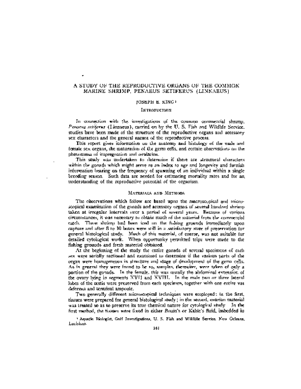 (PDF) A STUDY OF THE REPRODUCTIVE ORGAN'S OF THE COMMON MARINE SHRIMP ...