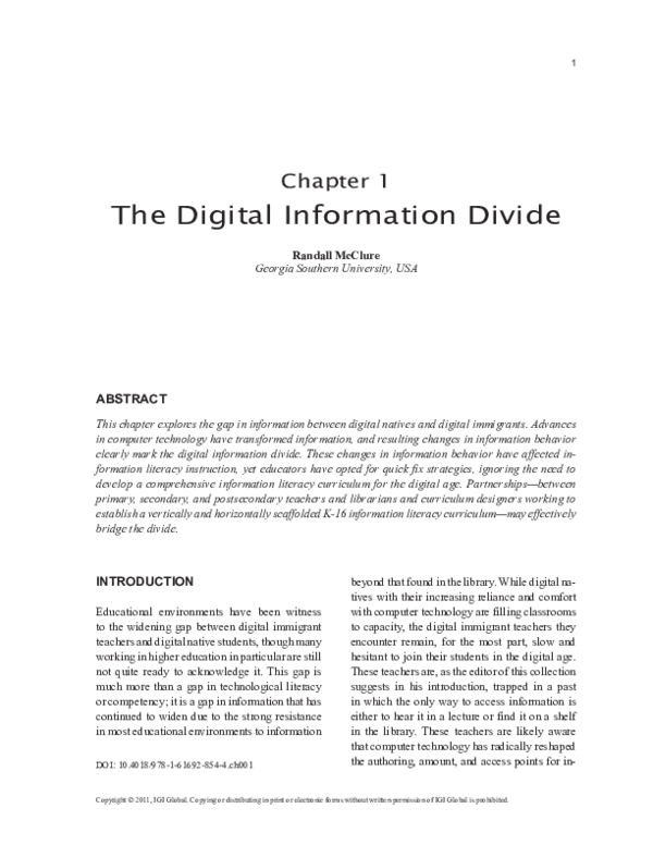 (PDF) The Digital Information Divide