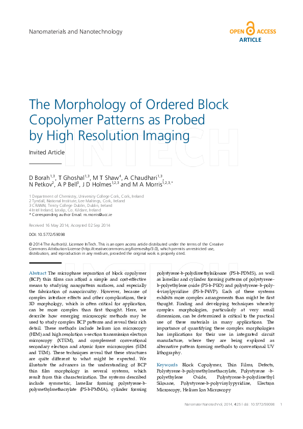Pdf The Morphology Of Ordered Block Copolymer Patterns As Probed By High Resolution Imaging