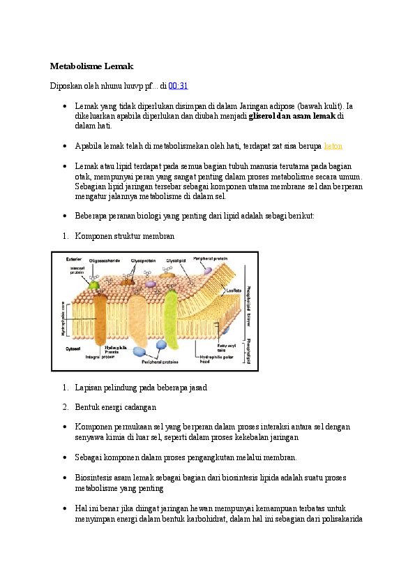 (DOC) Metabolisme Lemak