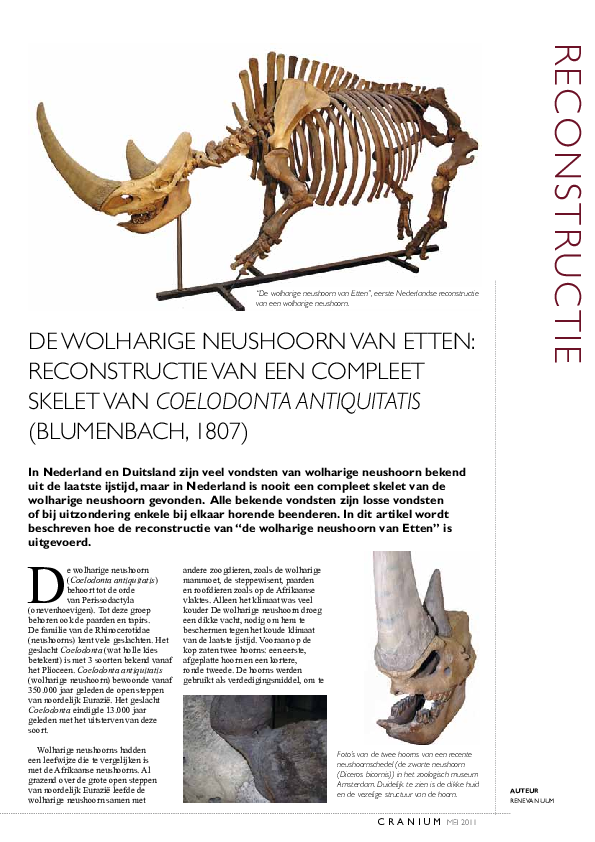 (PDF) RECONSTRUCTIE “De wolharige neushoorn van Etten”, eerste ...