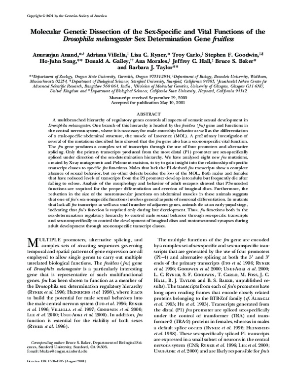 (PDF) Molecular Genetic Dissection of the Sex-Specific and Vital ...