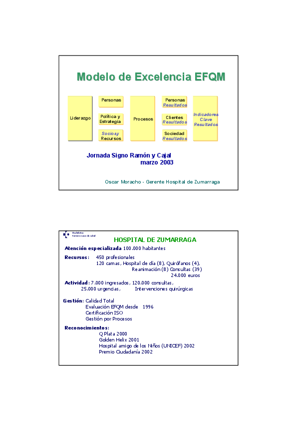 (PDF) El Modelo EFQM Aplicado Hospital de Zumarraga