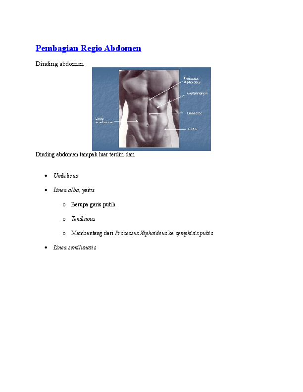 (DOC) Pembagian Regio Abdomen Dinding abdomen Dinding abdomen tampak ...