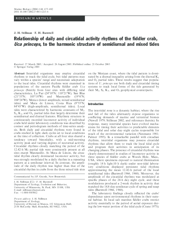 (PDF) Relationship of daily and circatidal activity rhythms of the ...