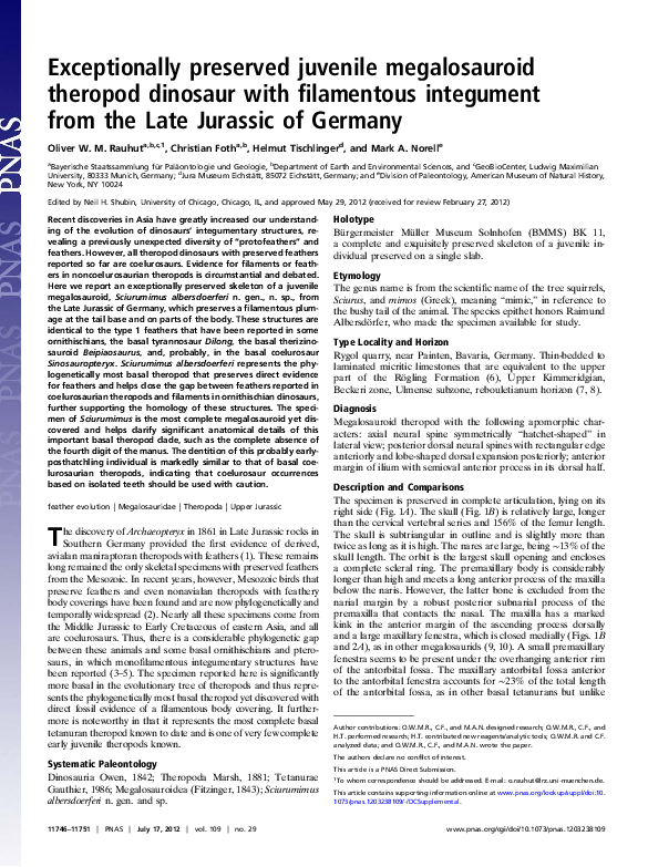 Exceptionally preserved juvenile megalosauroid theropod dinosaur with ...