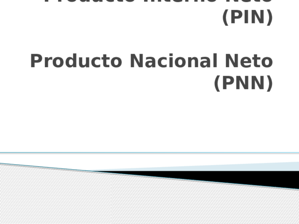 (PPT) Producto Interno Neto PIN 1