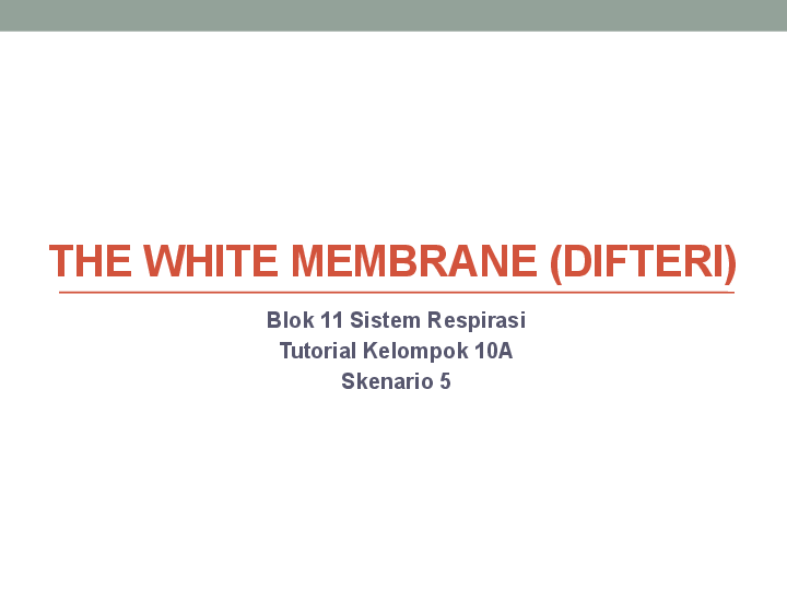 (PPT) ppt Blok 11 Respiratory - Penyakit Difteri