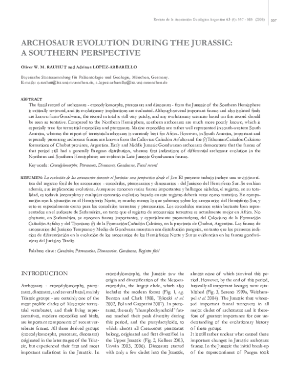 Archosaur evolution during the Jurassic: a southern perspective