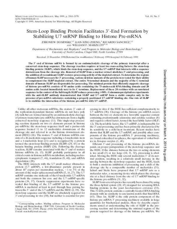 (PDF) Stem-Loop Binding Protein Facilitates 39End Formation by ...