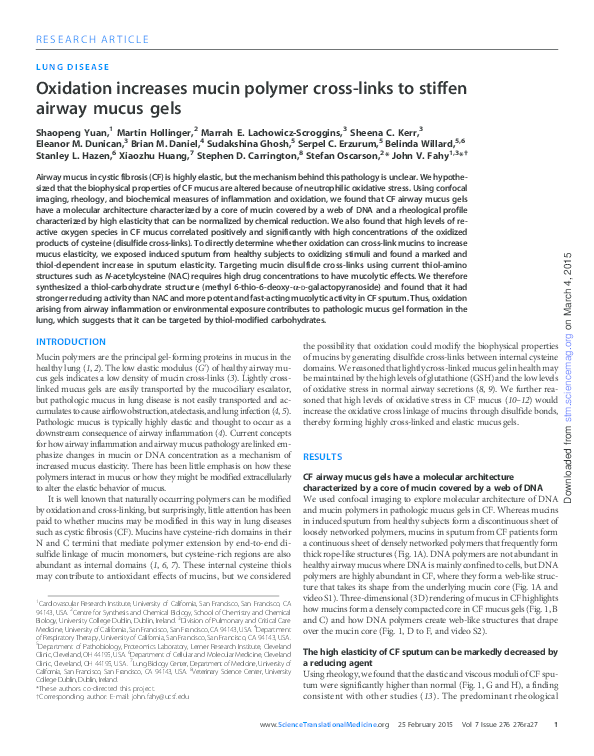 (PDF) Oxidation increases mucin polymer cross-links to stiffen airway ...
