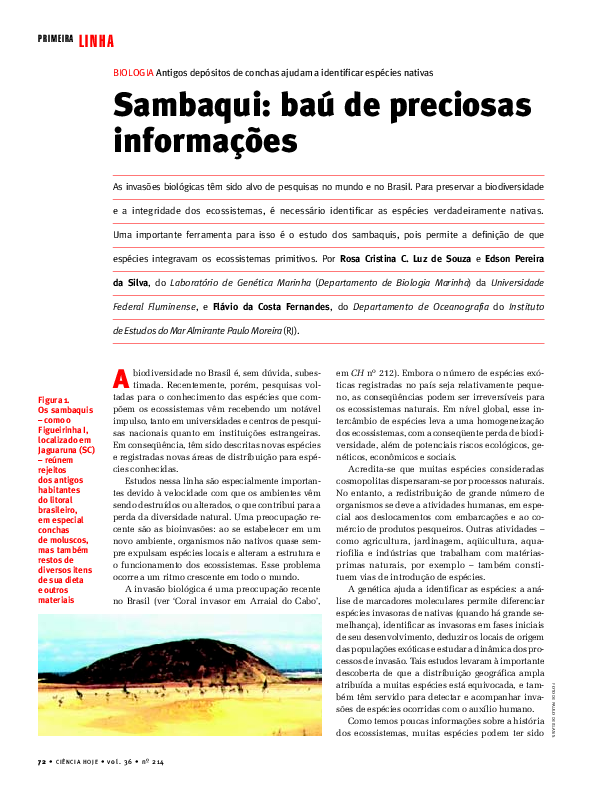 (PDF) Sambaqui: baú de preciosas informações