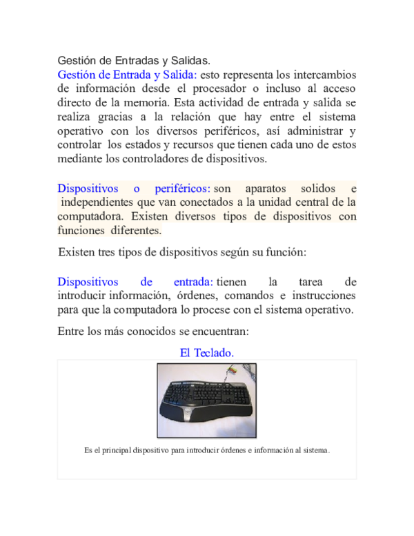 (DOC) Gestion de Entradas y Salidas