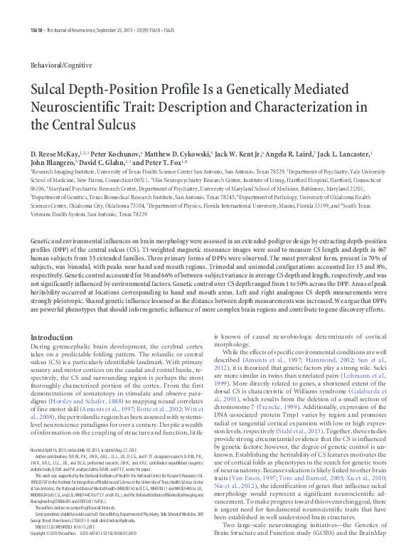 (PDF) Sulcal Depth-Position Profile Is a Genetically Mediated ...