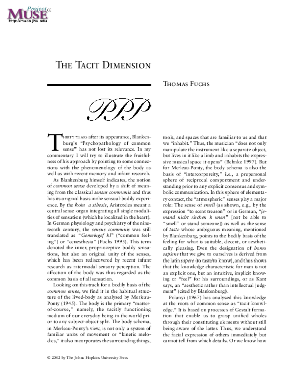 (PDF) The Tacit Dimension