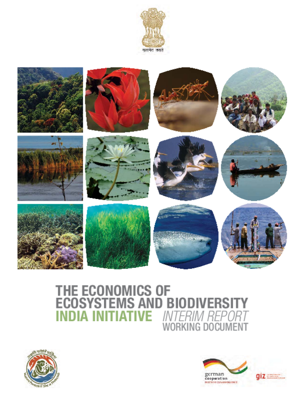 (PDF) THE ECONOMICS OF ECOSYSTEMS AND BIODIVERSITY INDIA INITIATIVE ...