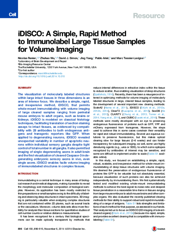 (PDF) iDISCO: A Simple, Rapid Method to Immunolabel Large Tissue ...