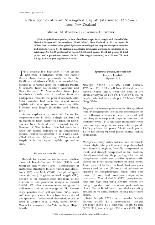 (PDF) A new species of giant seven-gilled hagfish (Myxinidae ...