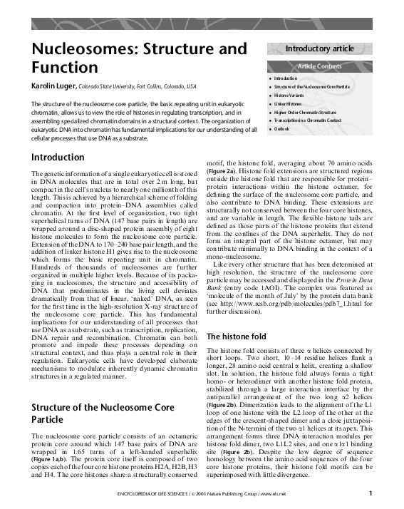 (PDF) Nucleosomes: Structure and Function