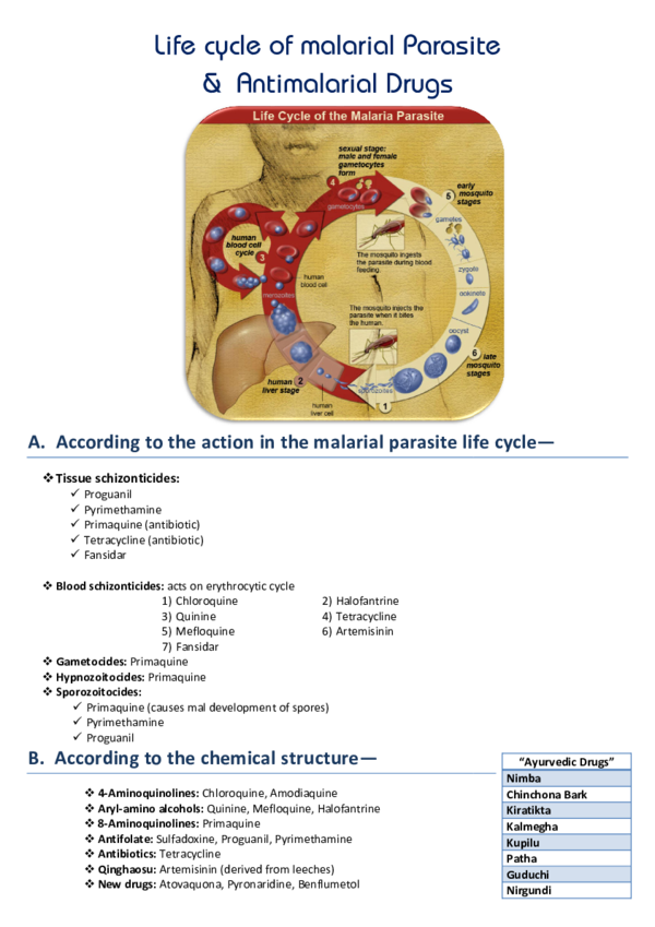 (PDF) Life cycle of malarial Parasite & Antimalarial Drugs According to ...
