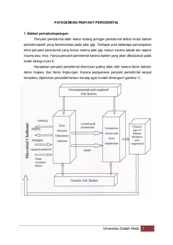 (PDF) Universitas Gadjah Mada 1 PATOGENESIS PENYAKIT PERIODONTAL