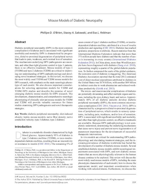 (PDF) Mouse models of diabetic neuropathy