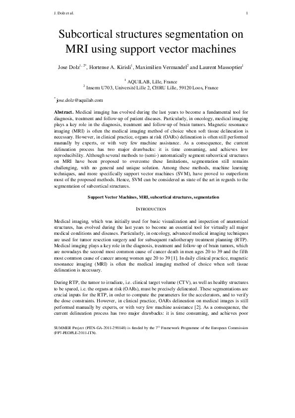 Pdf Subcortical Structures Segmentation On Mri Using Support Vector