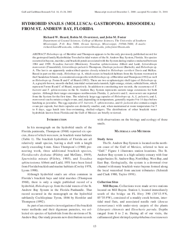 (PDF) HYDROBIID SNAILS (MOLLUSCA: GASTROPODA: RISSOOIDEA