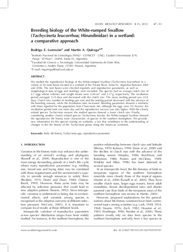 (PDF) Breeding biology of the White-rumped Swallow (Tachycineta ...