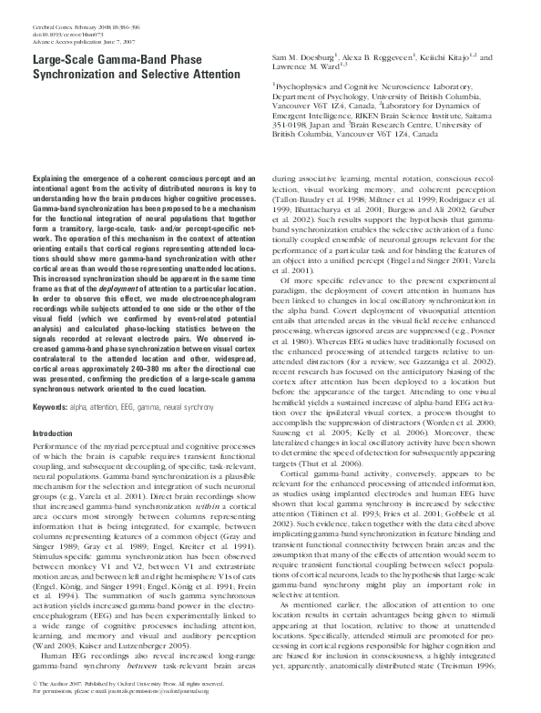 (PDF) Large-Scale Gamma-Band Phase Synchronization and Selective Attention