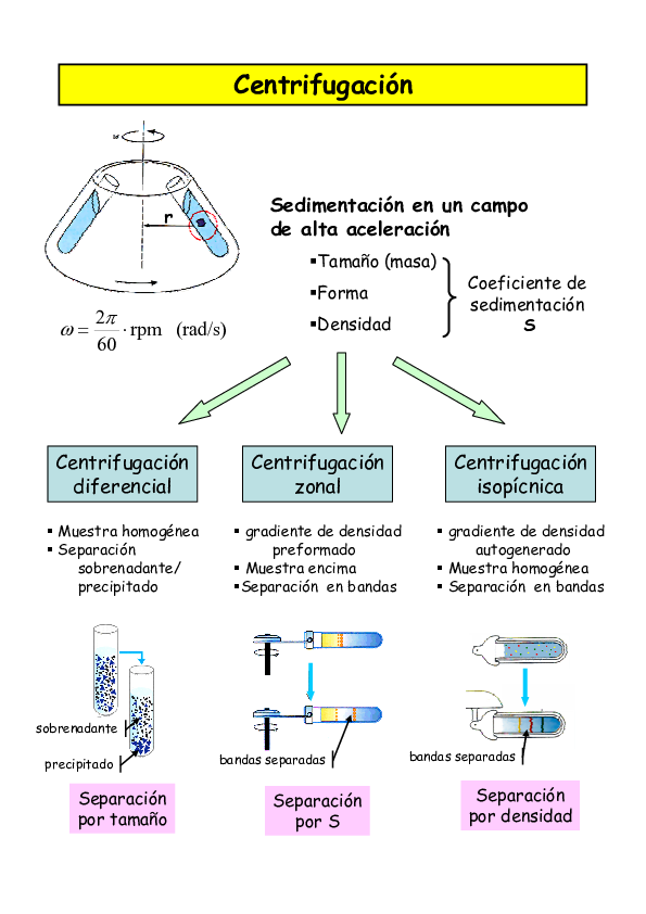 (PDF) Centrifugacion