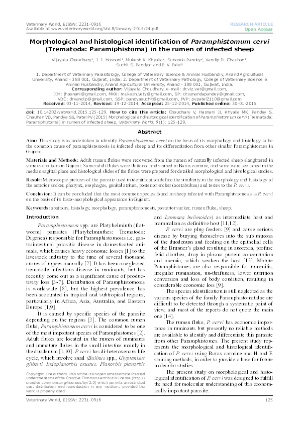 (PDF) Morphological and histological identification of Paramphistomum ...
