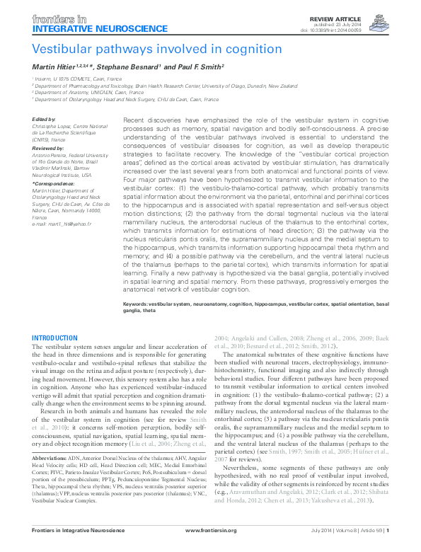 (PDF) INTEGRATIVE NEUROSCIENCE Vestibular pathways involved in cognition