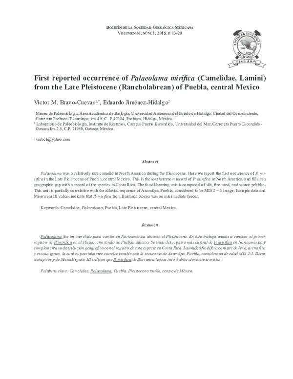 (PDF) First reported occurrence of Palaeolama mirifica (Camelidae ...