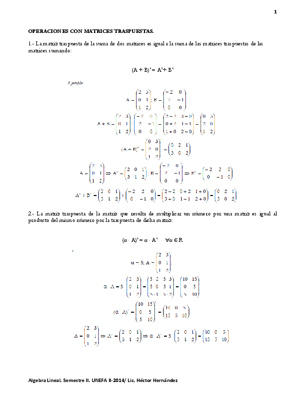(PDF) Matriz Transpuesta e Inversa de una Matriz