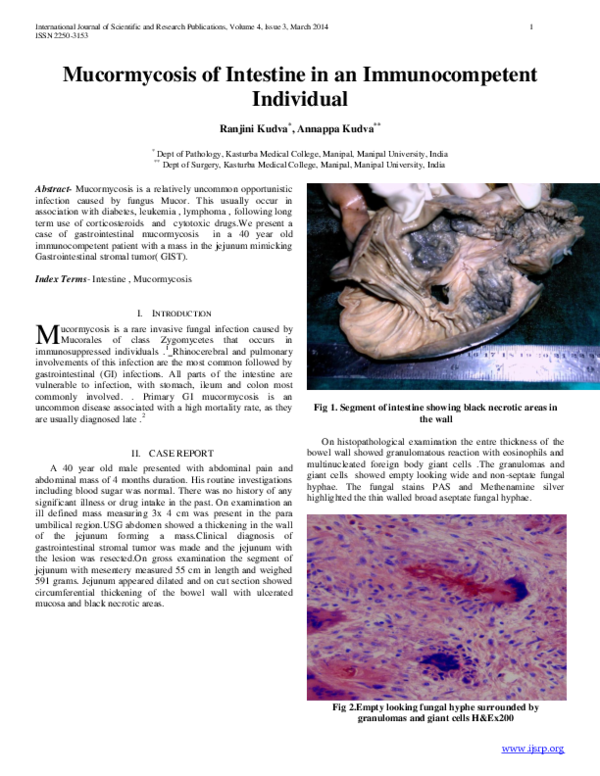 (PDF) Mucormycosis of Intestine in an Immunocompetent Individual