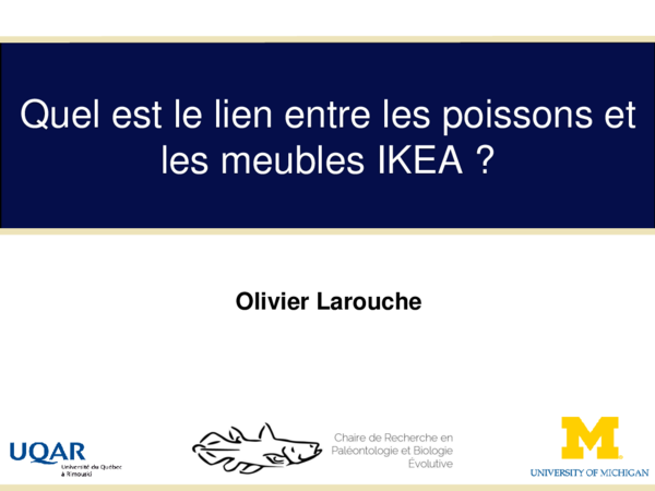 (PDF) Quel est le lien entre les poissons et les meubles IKEA