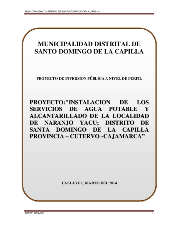 (PDF) PERFIL TÉCNICO